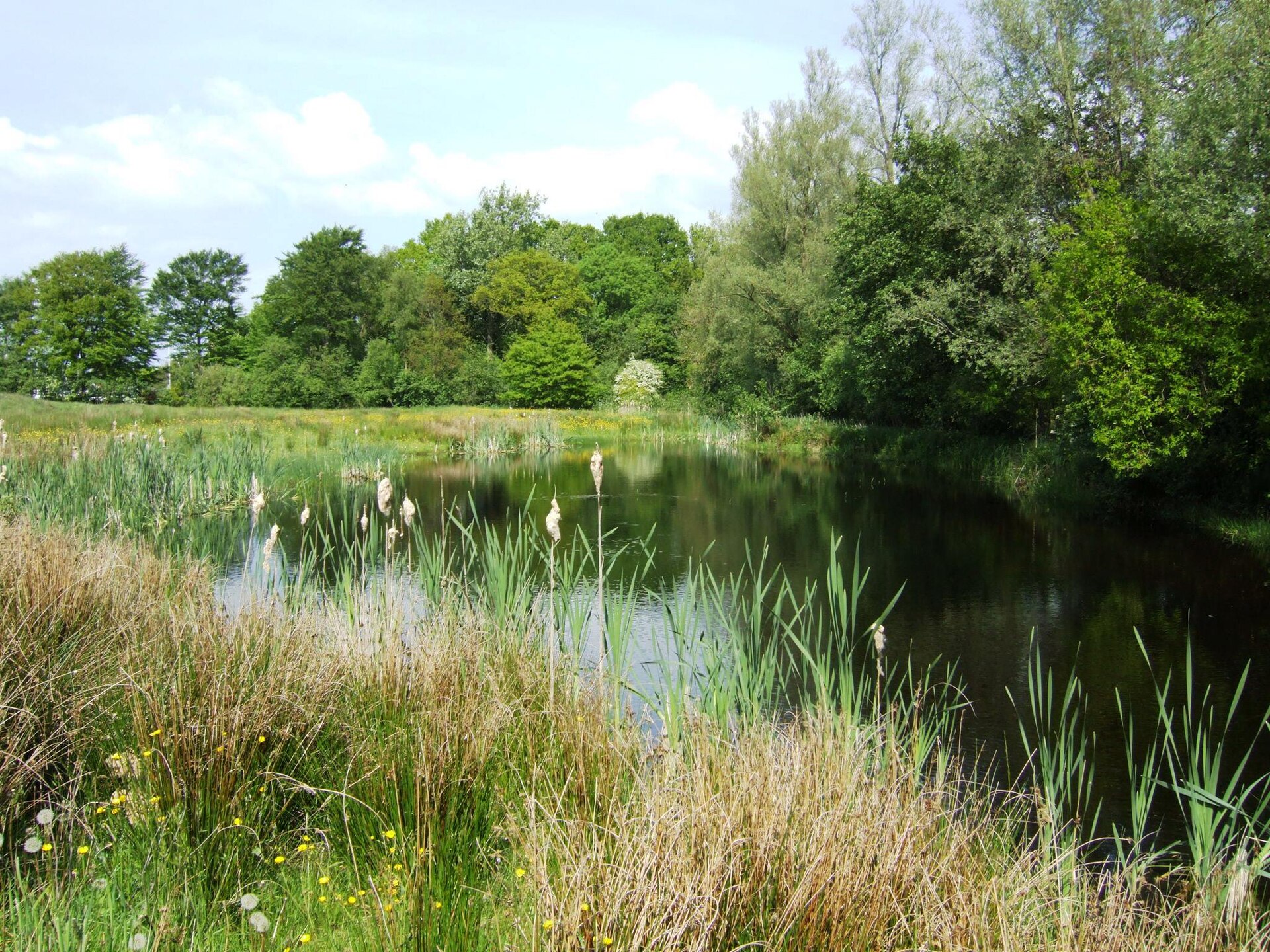 De Coppel - Buurmalsen